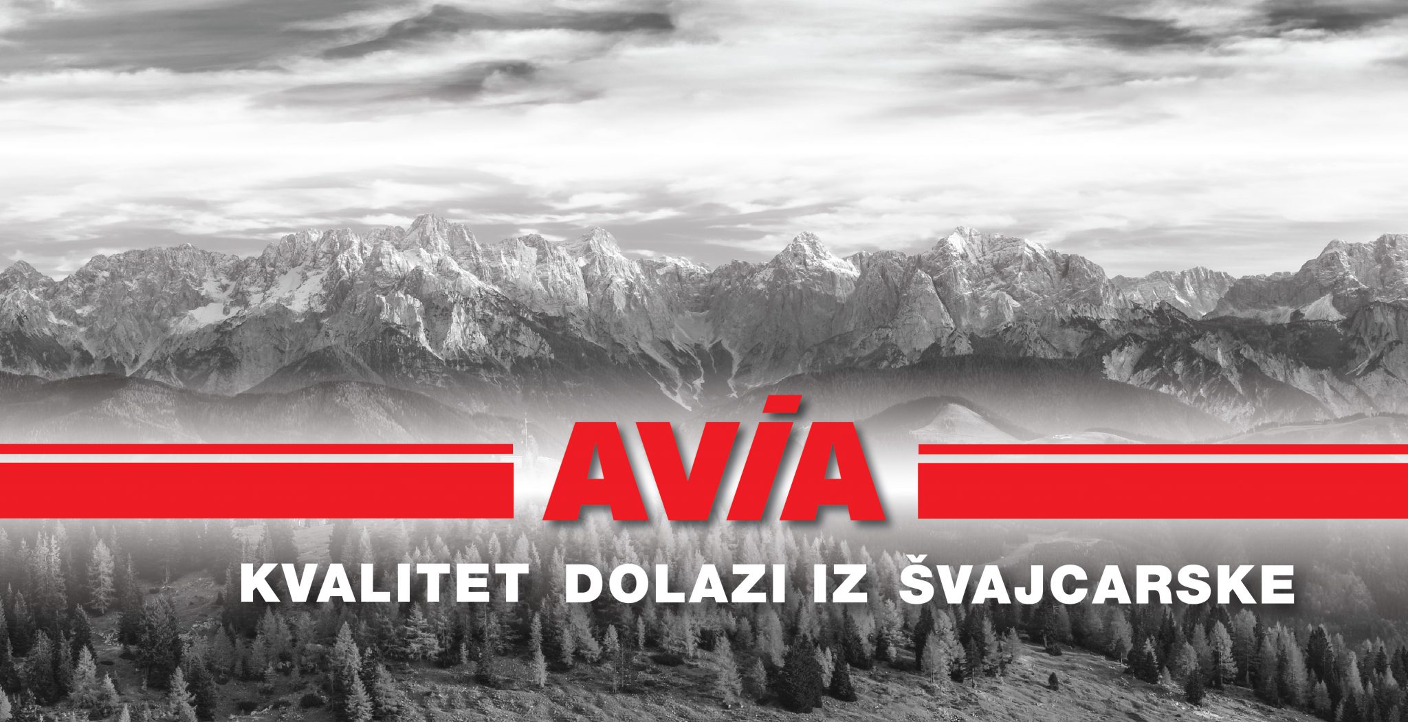 AVIA International