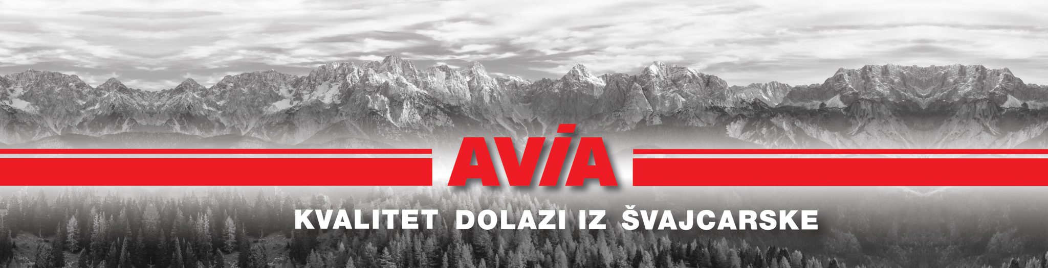AVIA International